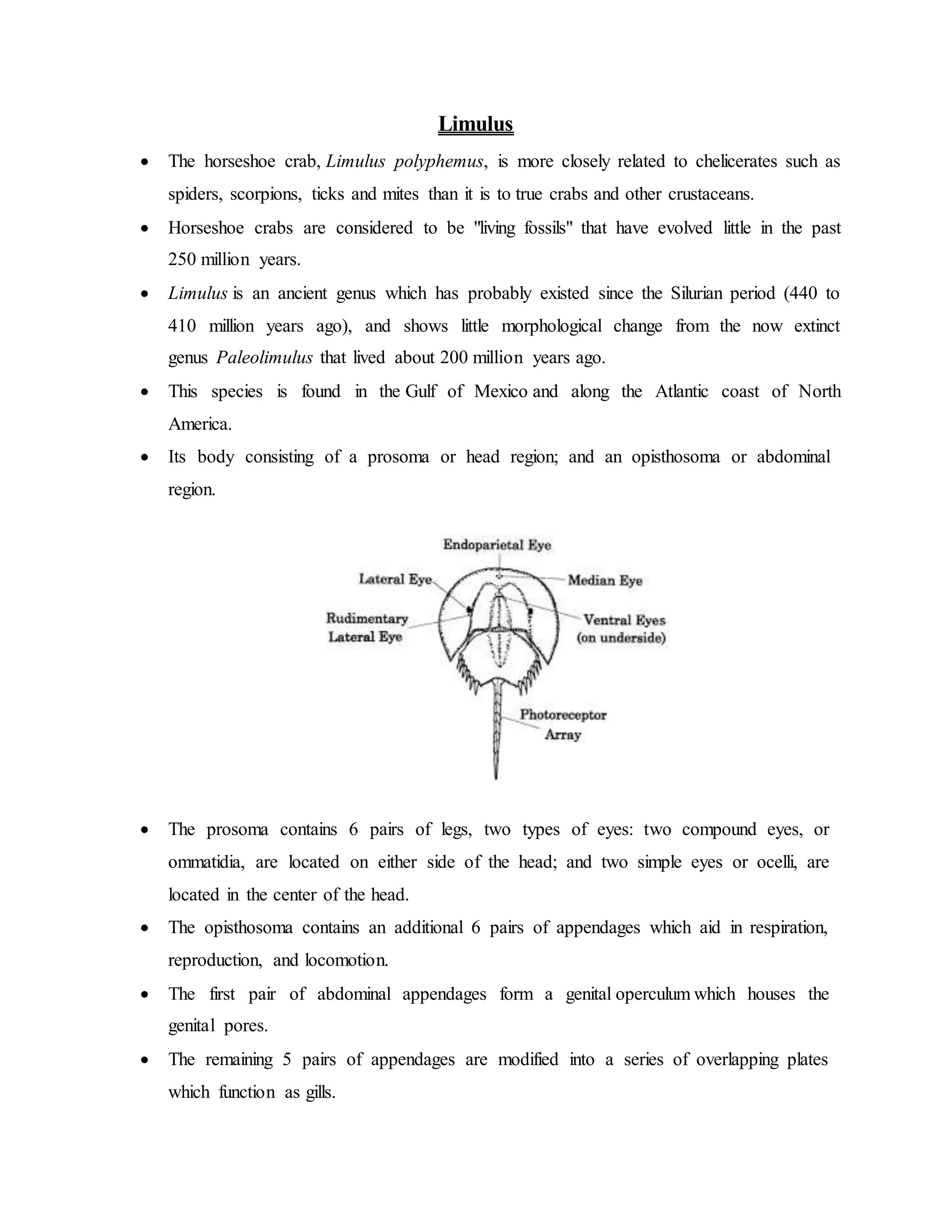 Limulus | DOCX