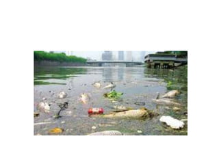 Why do Chinese factory owners move factories from Pearl River Delta to ...