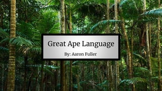 Lin207 presentation | PPT