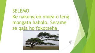 LINAKO TSA SELEMO_043043.pptx