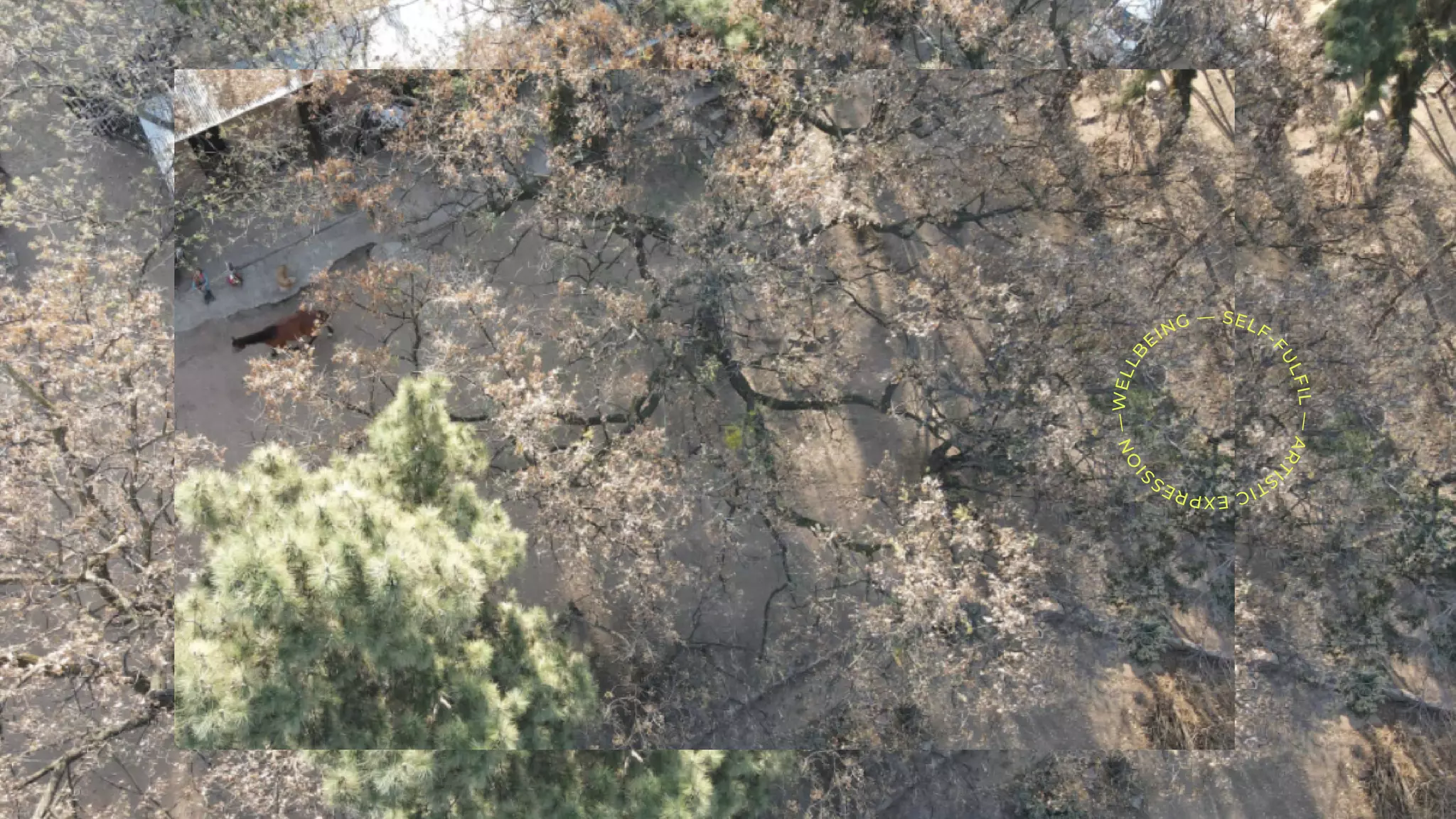 Linbro Gardens Equity Presentation Feb 2021 | PPT