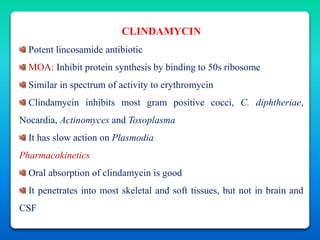 Lincosamides | PPTX