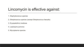 Lincosamides | PPTX
