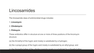 Lincosamides | PPTX