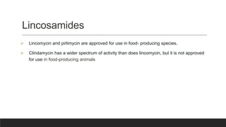 Lincosamides | PPTX