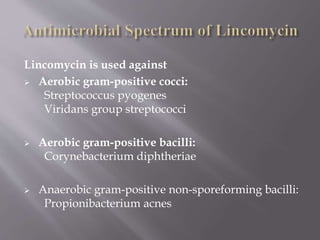 Lincosamides ppt (1).pptx