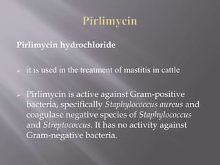 Lincosamides ppt (1).pptx