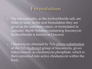 Lincosamides ppt (1).pptx