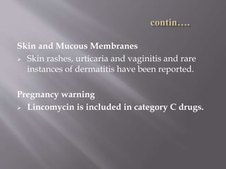 Lincosamides ppt (1).pptx