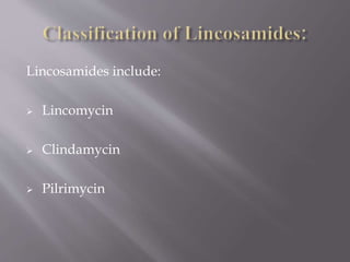 Lincosamides ppt (1).pptx