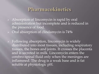 Lincosamides ppt (1).pptx