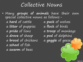 lindacollectivenouns-140415024829-phpapp01 (1).ppt