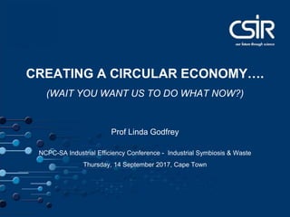 Linda Godfrey - Circular Economy NCPC-SA | PPTX