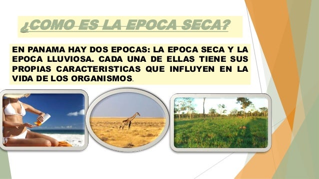 Linda González La Epoca seca