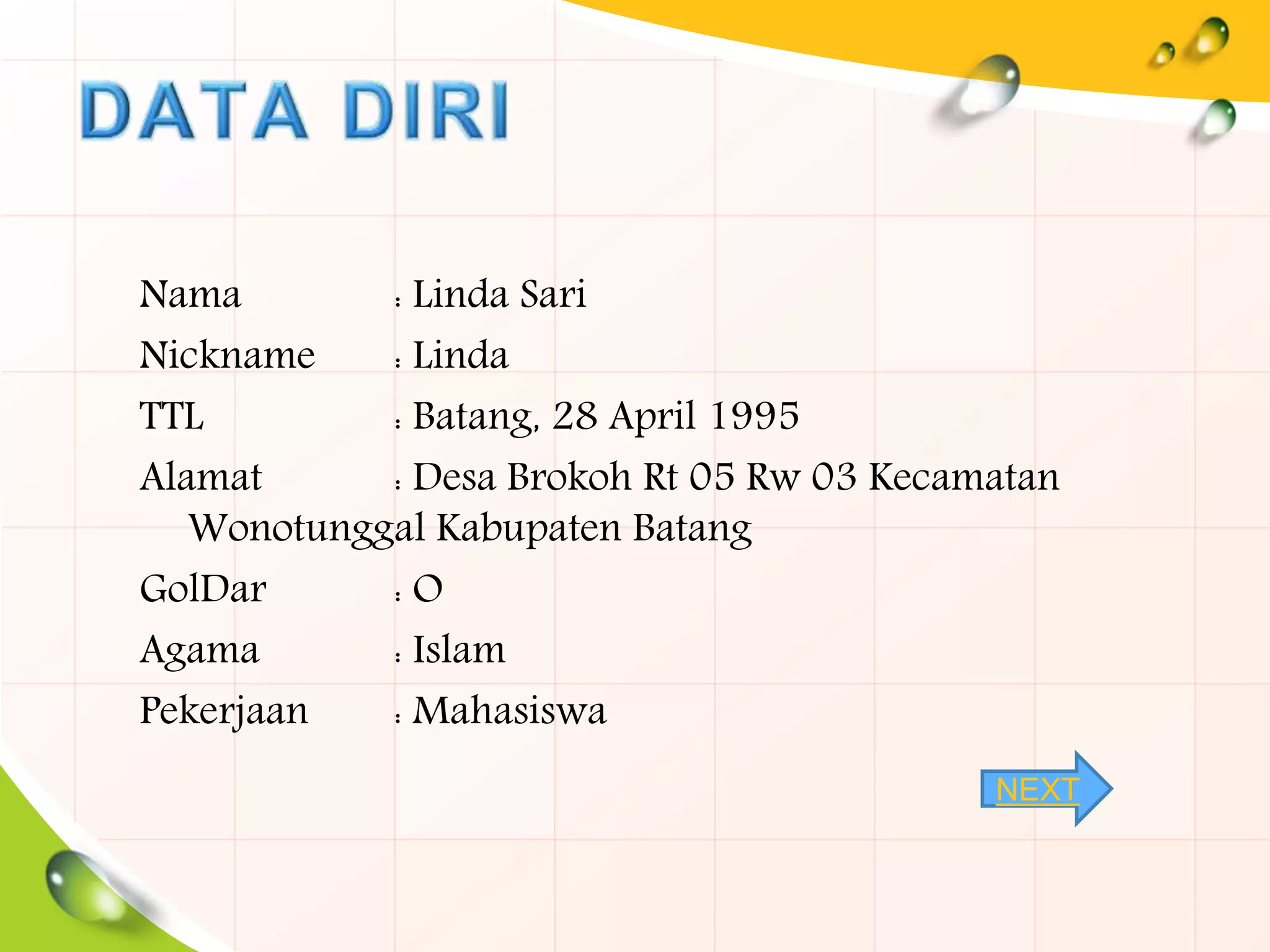 Lindasari 7101413132-biodata diri | PPT