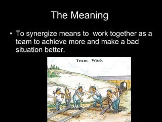 habit 6 synergy | PPT