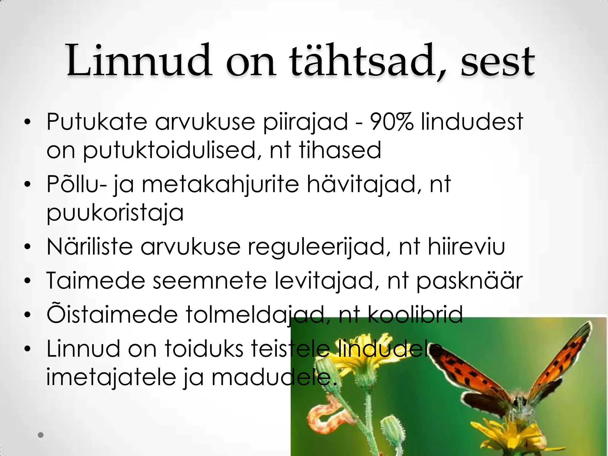 Lindude tähtsus ja kaitse | PPTX