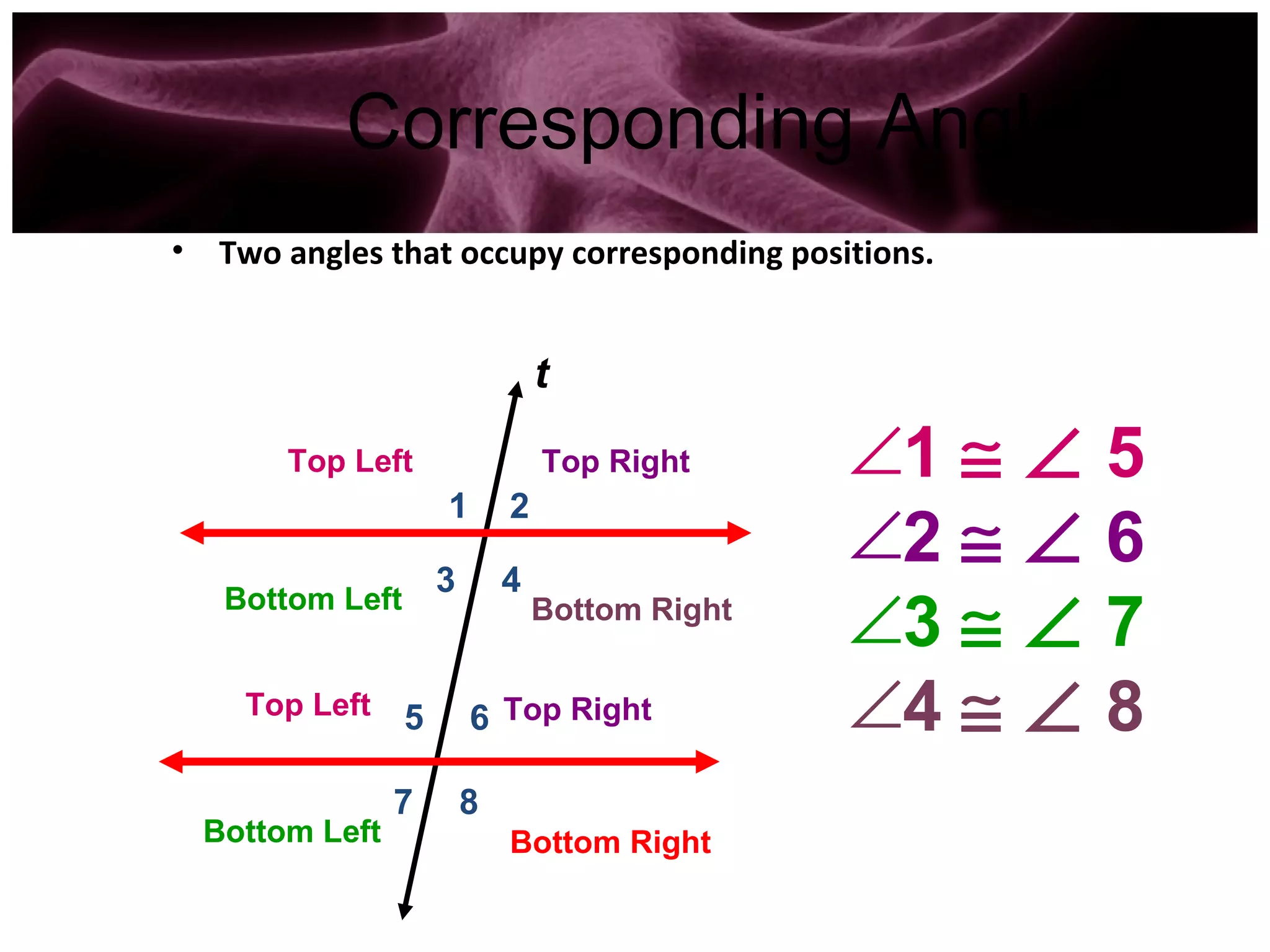 Line and-angle-relationships-2-1226096487941087-8 | PPT
