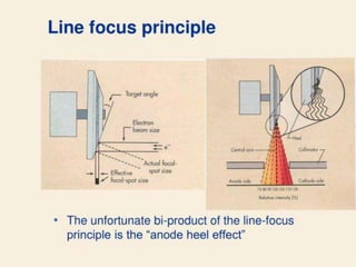 Line focus-principle-and-anode-heel-effect | PPTX