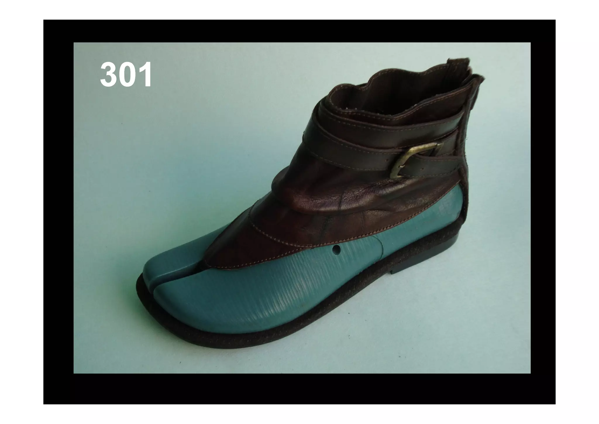 Linea 300 | PPT