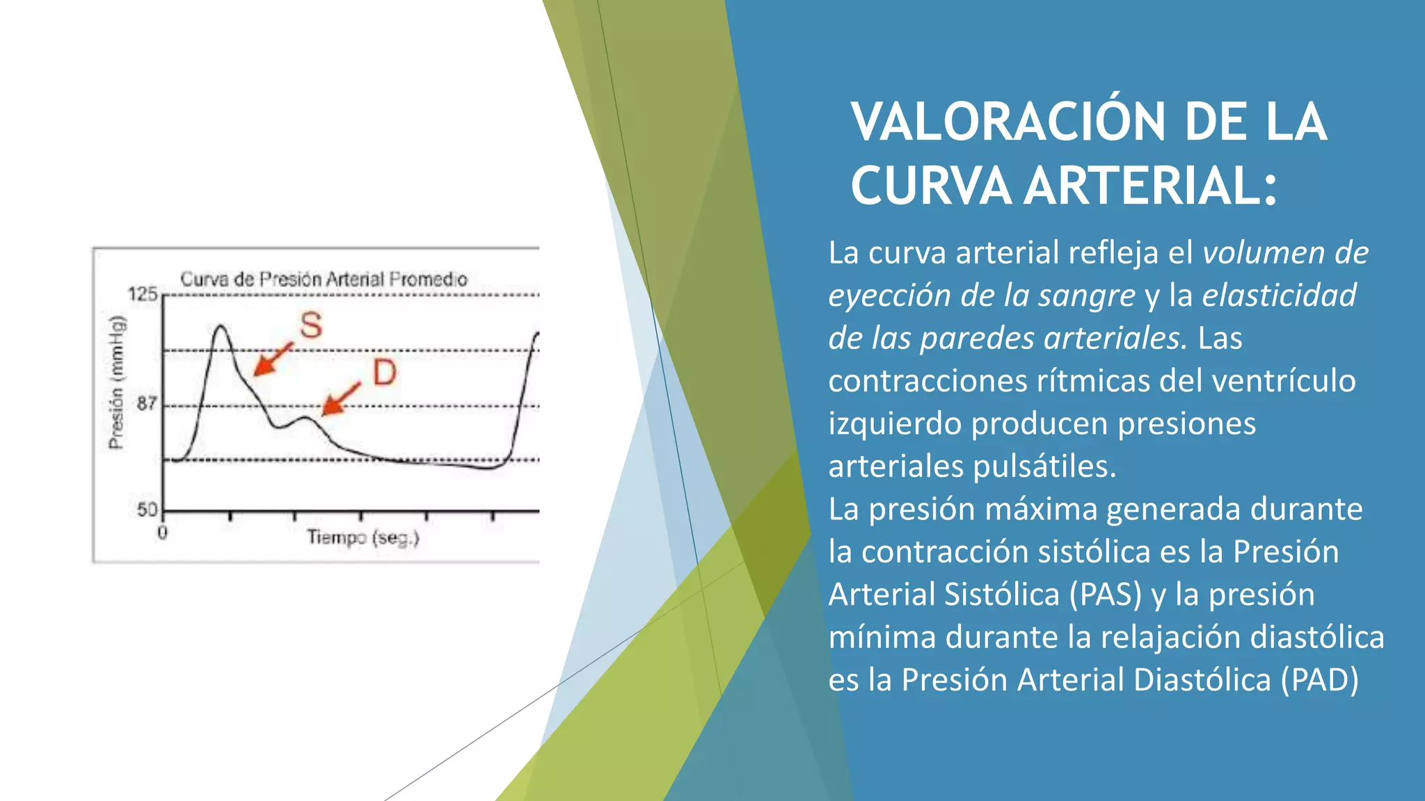 Linea arterial | PPTX