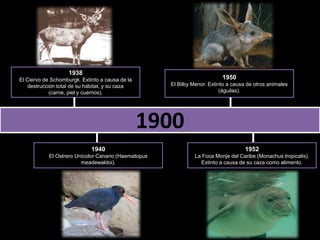 Linea del tiempo. animales extintos | PPTX