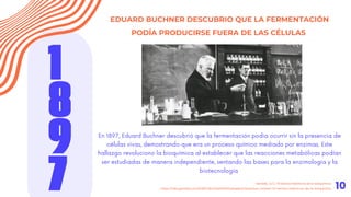 Línea del tiempo de los antecedentes históricos de la Bioquímica .pdf.pdf