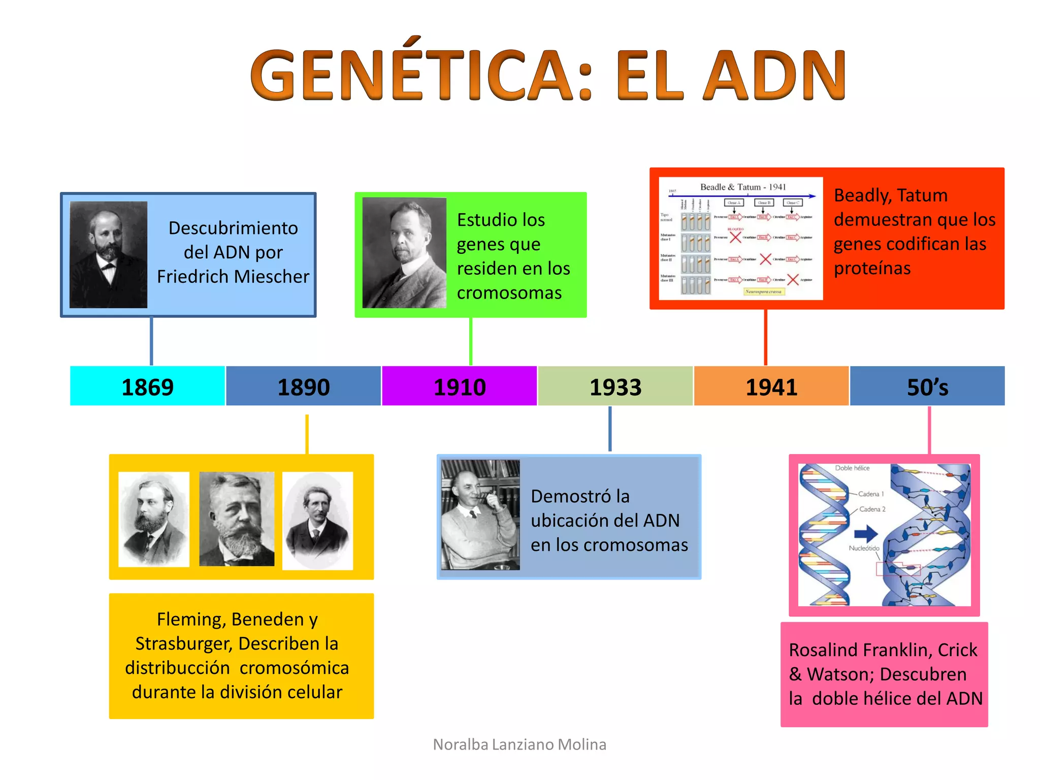LINEA DEL TIEMPO: GENÉTICA_ADN | PDF
