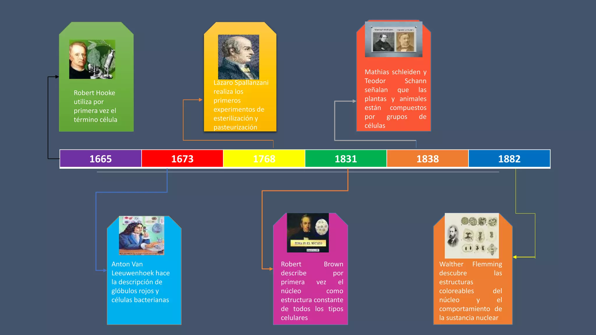 Hoja De Trabajo De La Línea De Tiempo De La Teoría Celular Linea De