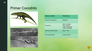 Linea genealogica de las aves, mamiferos y reptiles (1) | PPTX