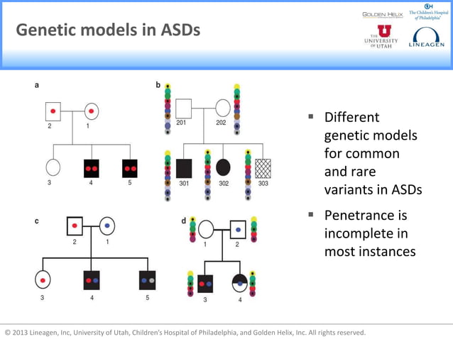 New Study Identifies High-Risk Variants Associated with Autism Spectrum ...
