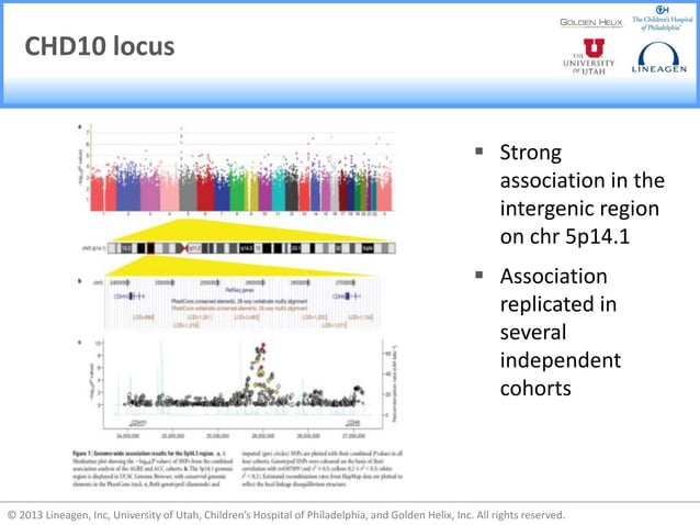 New Study Identifies High-Risk Variants Associated with Autism Spectrum ...
