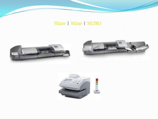 Lineage Powerpoint | PPT