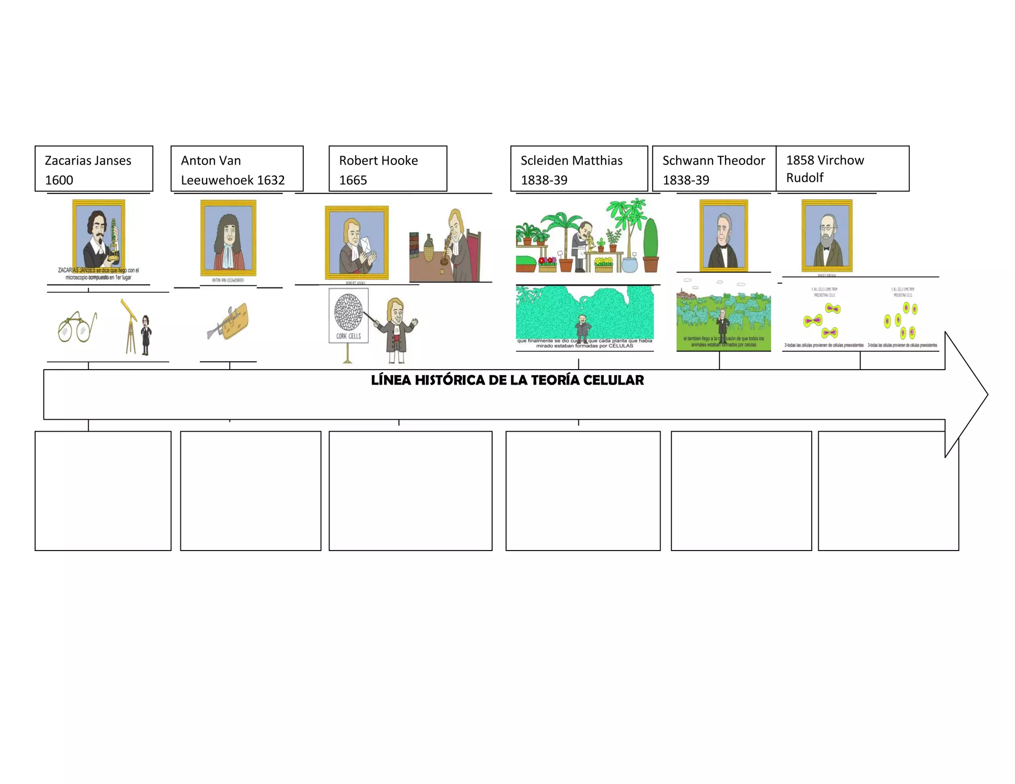 Cronología De La Teoría Celular En Power Point