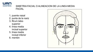 seminario linea media facial y dental.pptx