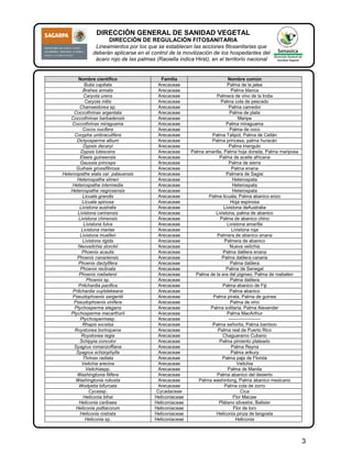 Lineamientos para aplicar medidas ácaro rojo 050912 | PDF