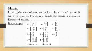 MATRICES | PPT