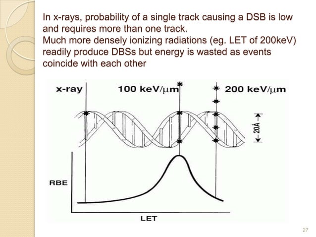Linear energy transfer | PPT