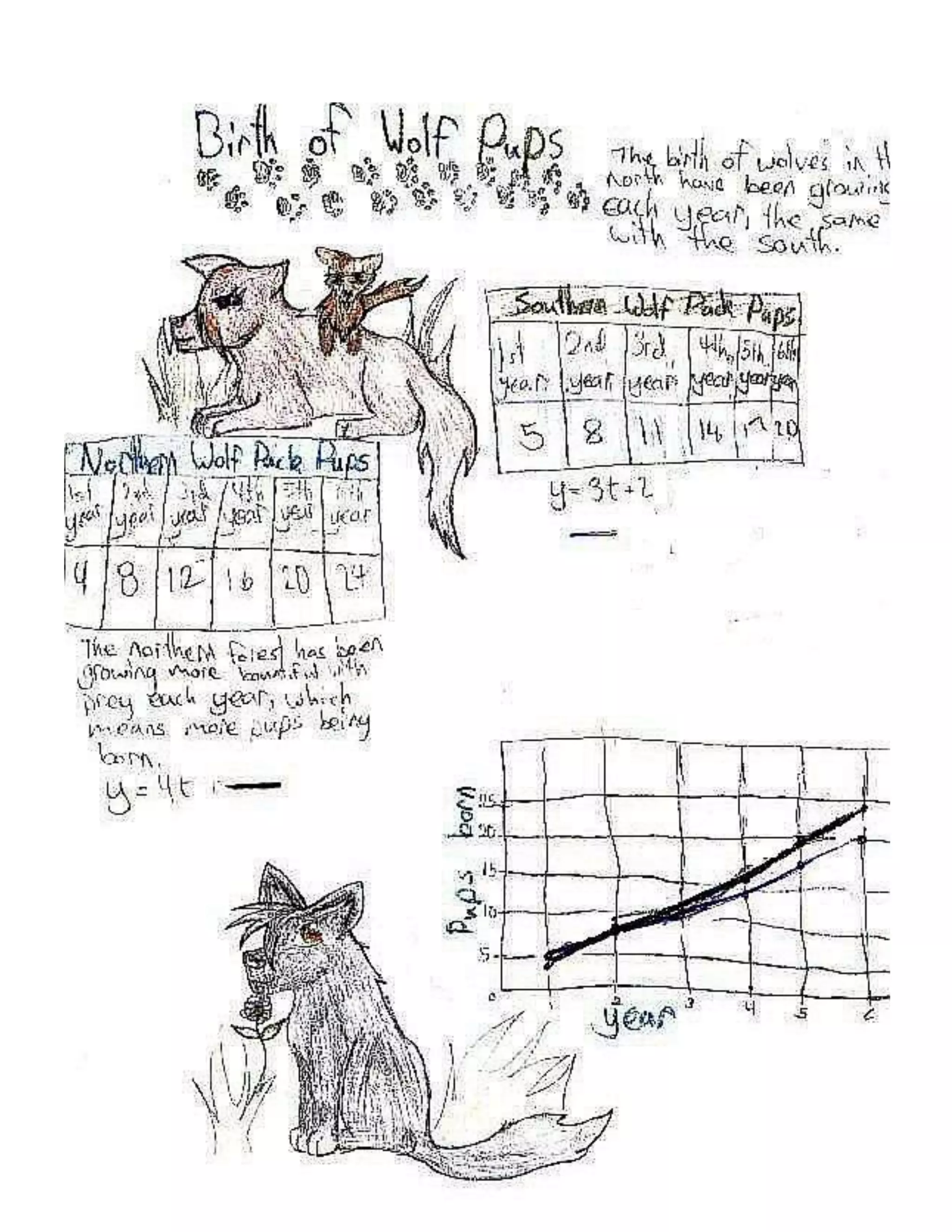 Linear equation posters | DOCX