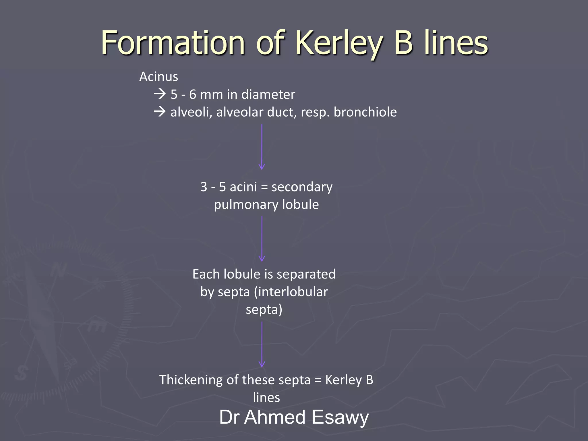 Linear lung density x ray Dr Ahmed Esawy | PDF