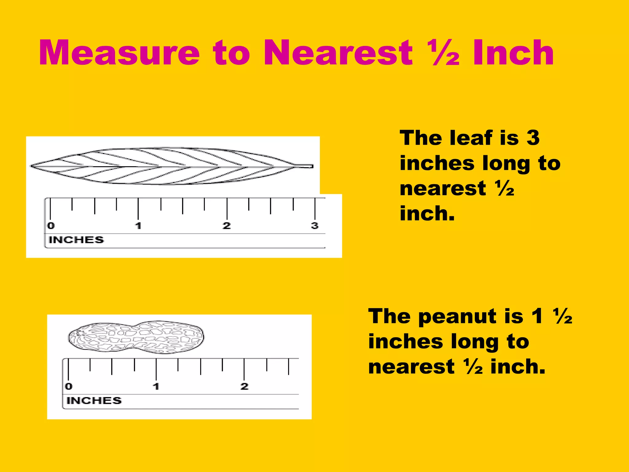 Linear measurement | PPT