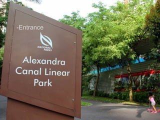 Linear park | PPT