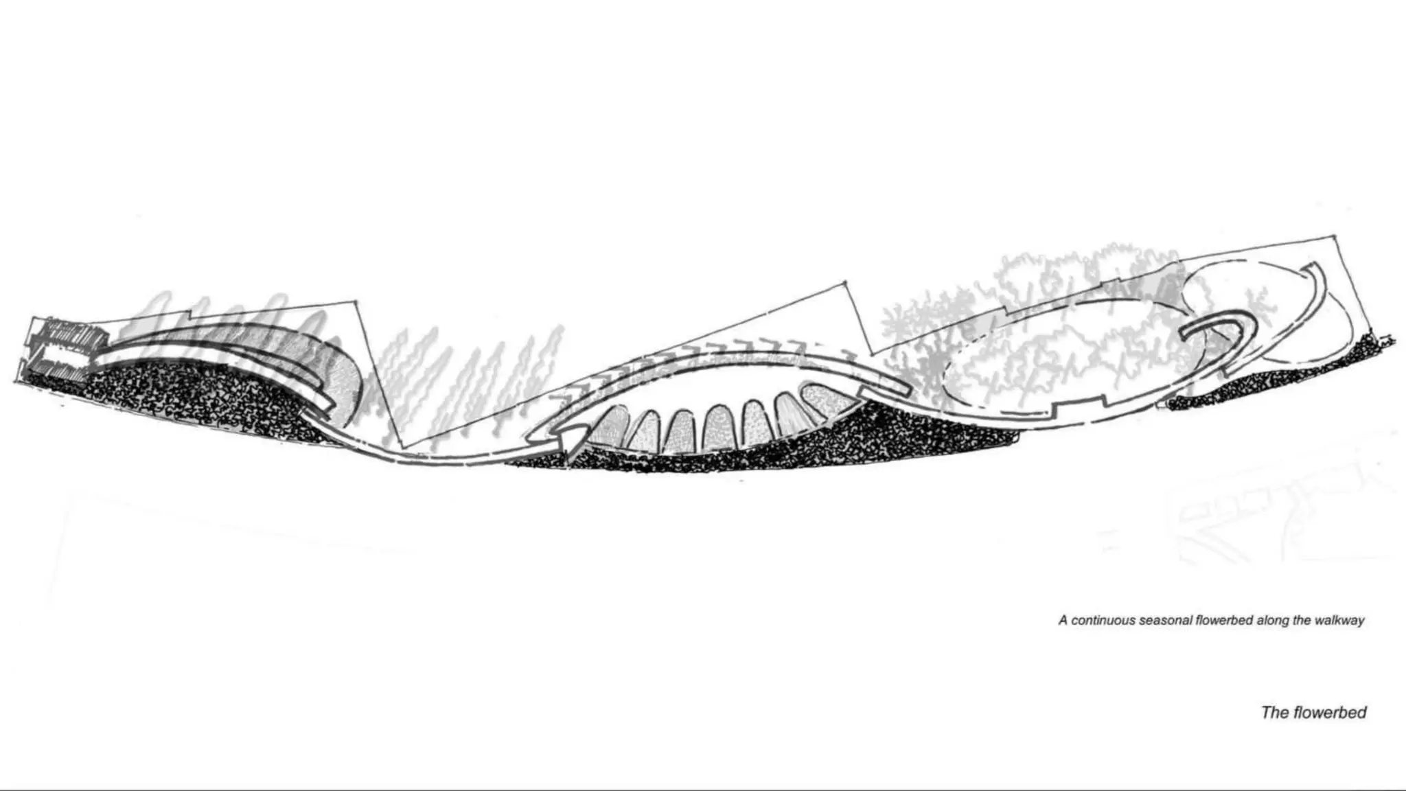 Case Study of Linear Urban Park - MaHi.pptx