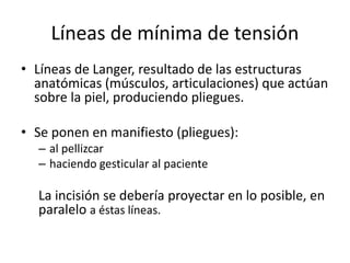 Lineas de tensión en la piel | PPTX