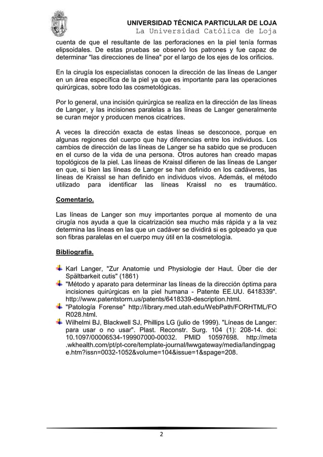 Lineas De Tension De Langer | DOCX