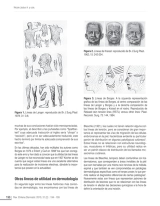 lineas langer.pdf