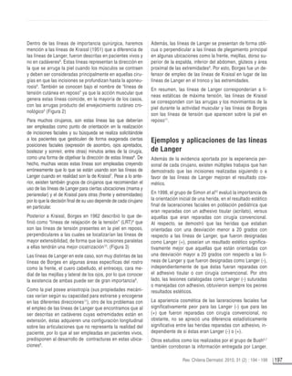 lineas langer.pdf