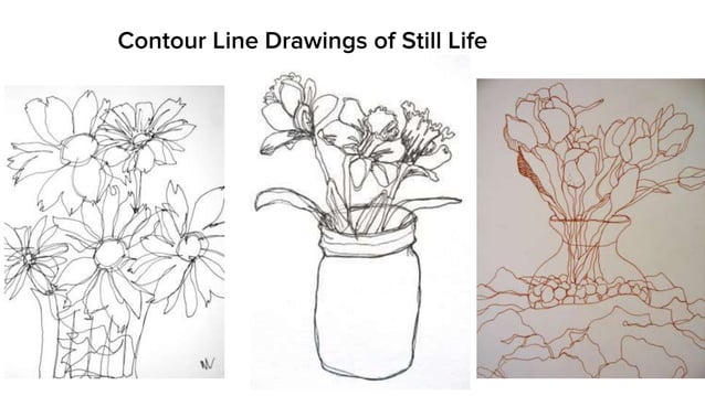 Line, contour line, and observation drawing | PPTX