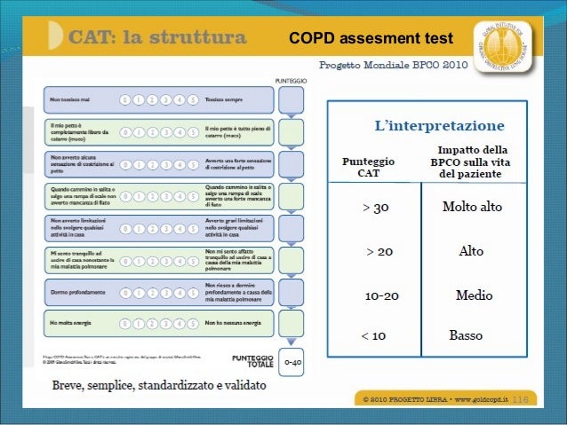 Le nuove Linee guida GOLD: non solo FEV1