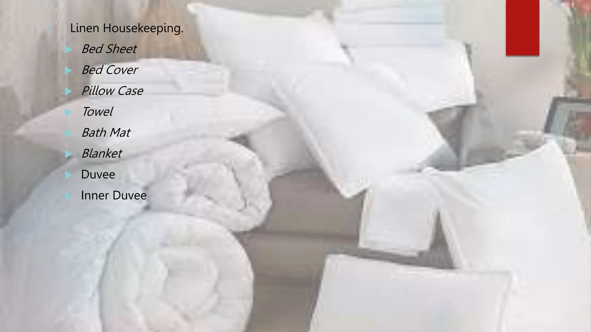 linen. laundry kelas sebelasxxxxxxxxxxxxxxx | PPT